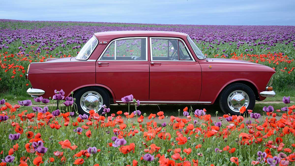 Moskvich in productie vanaf december 2022 - Business AM