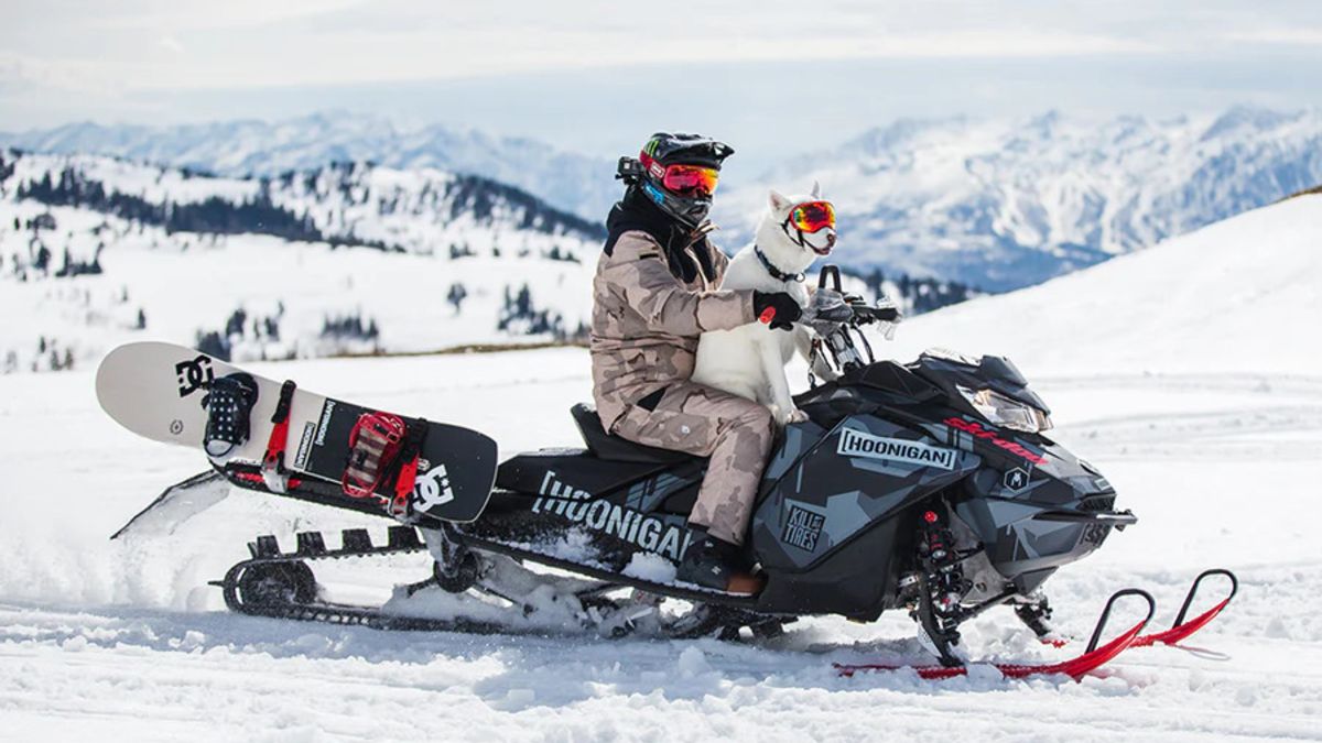 Ken Block sterft in ongeval met sneeuwscooter - Business AM