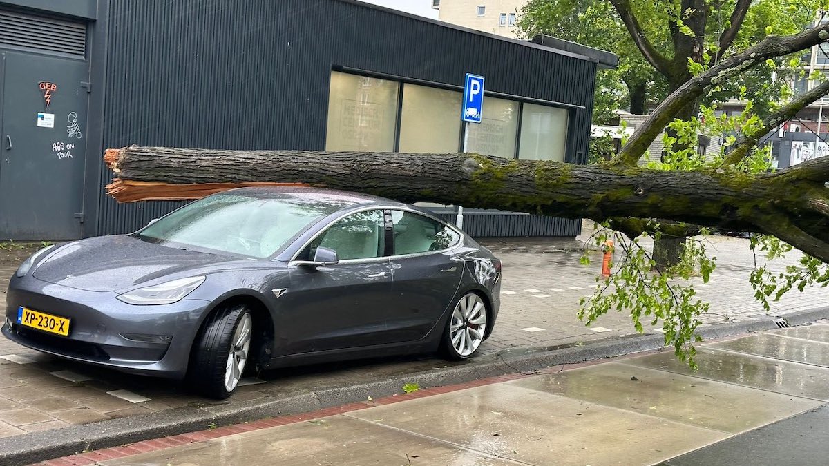 Tesla overleeft confrontatie met boom | Gocar.be
